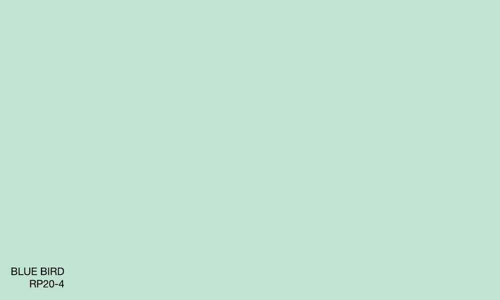 BLUE BIRD RP 20-4 (R.ONE) – My Store