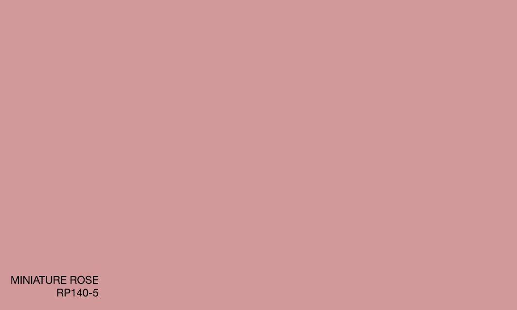 MINIATURE ROSE RP140-5 (R.AQUA) – Raffles Paint Australia